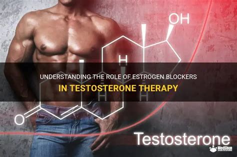 Understanding The Role Of Estrogen Blockers In Testosterone Therapy Medshun