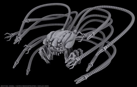 Matrix Sentinel By Kehlan On Deviantart