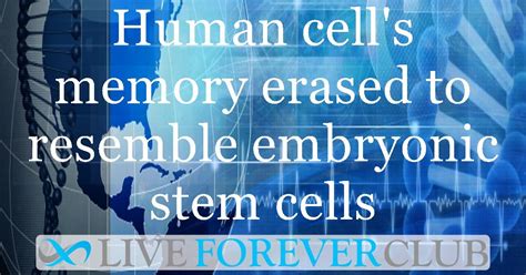 Human Cells Memory Erased To Resemble Embryonic Stem Cells