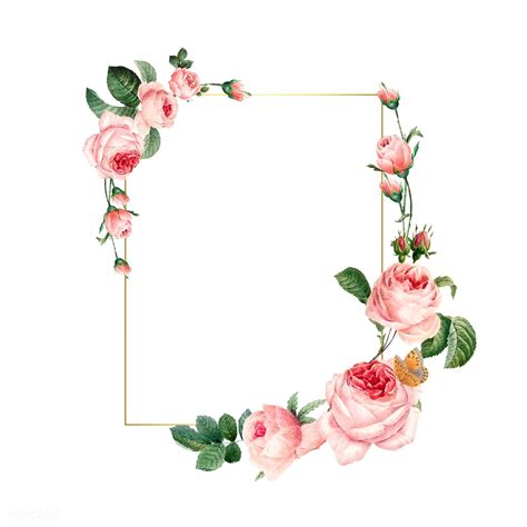 Pink Backgrounds Frame Borders