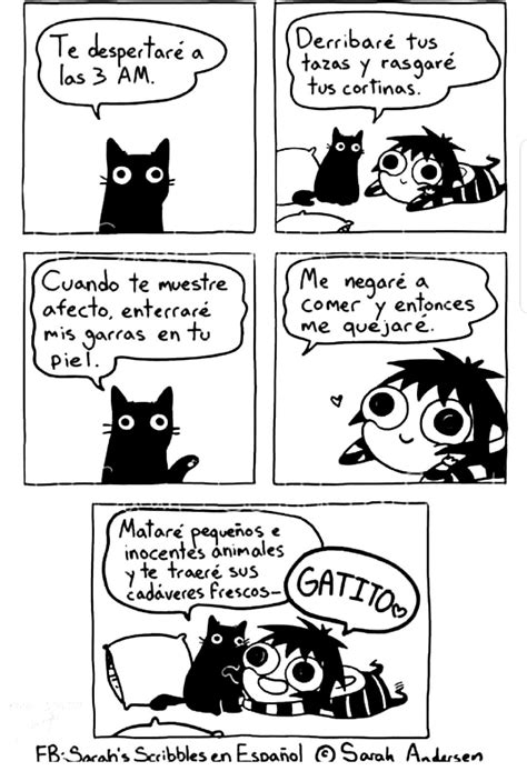 Sarah Andersen Comics Cat Caiden Has Sims