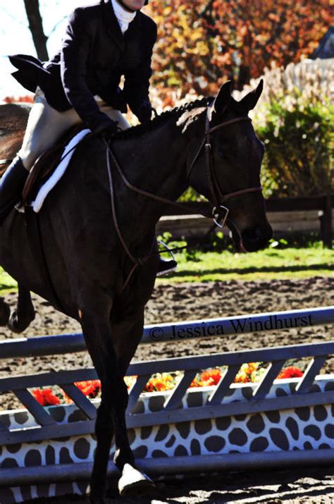 Landing By Cypress185 On Deviantart