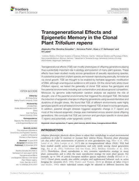 PDF Transgenerational Effects And Epigenetic Memory In The Clonal