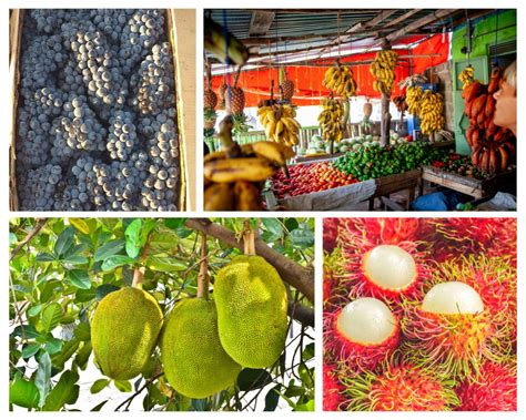 Fruits Grown In Guyana