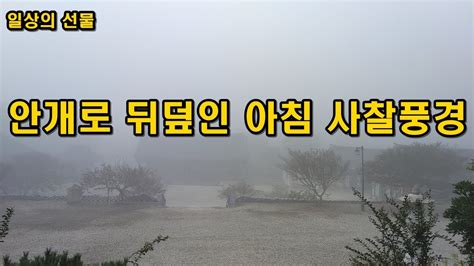 안개로 뒤덮인 아침 사찰풍경 Youtube