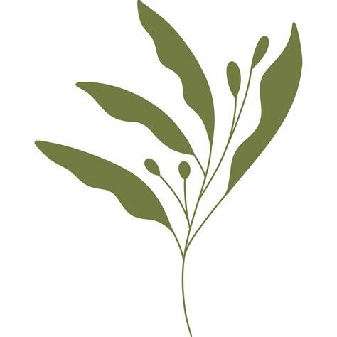 Aesthetic Flower Plant Leaves 10869713 Png