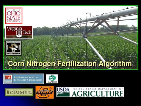 Ppt Corn Nitrogen Fertilization Algorithm Powerpoint Presentation Free Download Id 3420967