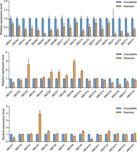 Transcript Levels Of 52 Atp Binding Cassette Abc Transporter Genes In Download Scientific
