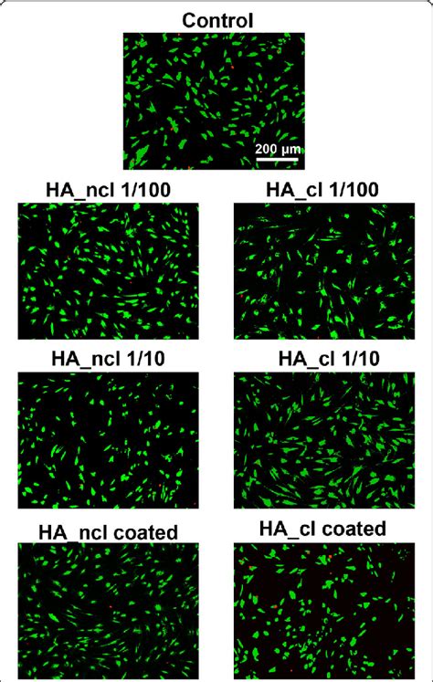 Cell Viability Staining Of Primary Human Primary Pdl Cells Exposed To