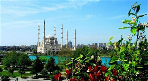 Guide About Adana Tranigo