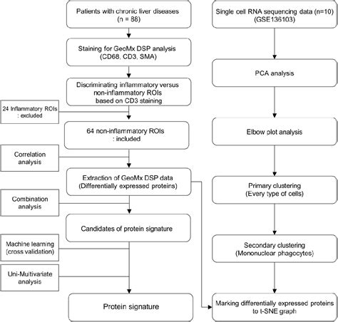 Figure From Multiplexed Digital Spatial Protein Profiling Reveals A