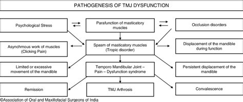 1 Pathogenesis Of Tmj Dysfunction Download Scientific Diagram