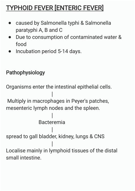 Typhoid Fever Pathogenesis