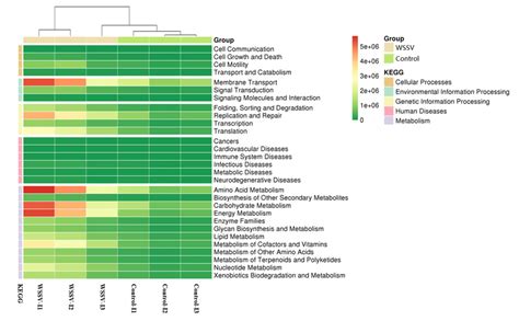 abundance clustering heat map of predicted functions of intestinal