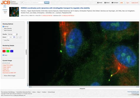 Liza Unson Ui Ux Designer Visual Design Portfolio