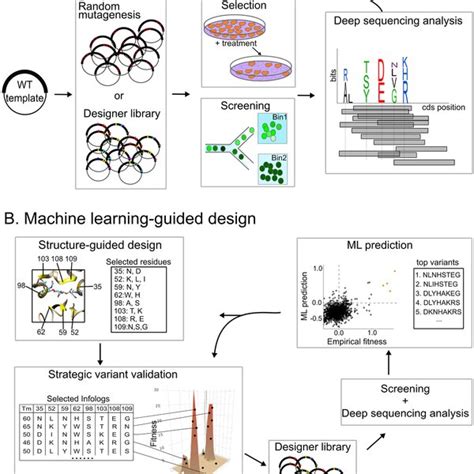 Smart Library Construction That Assists Machine Learning‐guided Protein Download Scientific