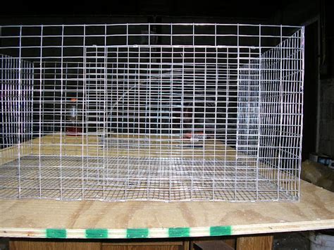 Shaktopia How To Build A Rabbit Cage
