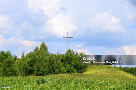풍부한 필드와 숲으로 둘러싸인 높이 언덕의 상단에 큰 나무 십자가 서 조밀한 잔디도 언덕 및 현장 위에 흐린 여름 하늘 아래 옥수수의 전체 0명에 대한 스톡 사진 및 기타