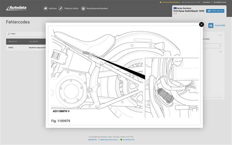 Diagnostic Trouble Codes Screenshot Finnish Autodata Group UK