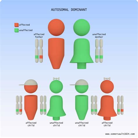 Visualizing Inheritance Patterns Researchgate