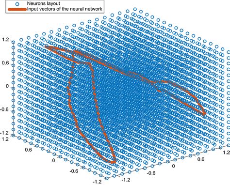 The Layout Of Neurons And The Input Vectors In The Three Dimensional
