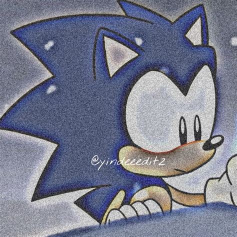 Sonic The Hedgehog Matching Icon Pfp With Amy Rose