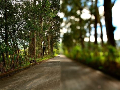 Comparing Myopia Vs Astigmatism Manassas Va Patch