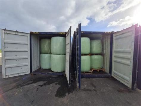 New Grass Arrives In Containers • The Original Madeira Island News Blog