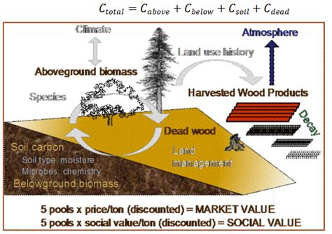 Plus模型invest模型 生态系统服务多情景模拟预测pls Sem 模型invest模型 Csdn博客