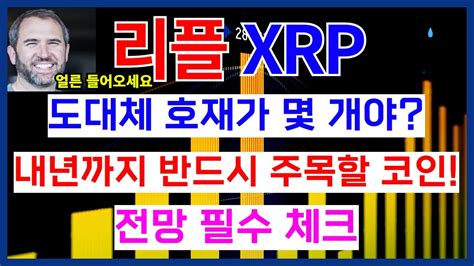 리플 Xrp 도대체 호재가 몇개야 내년까지 반드시 주목할 코인 전망 필수 체크 Youtube