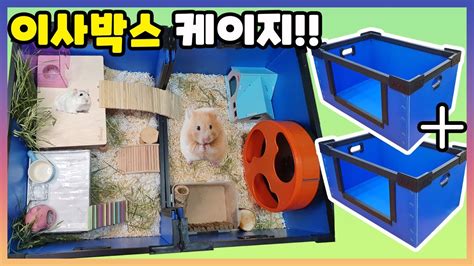 이사박스로 햄스터 케이지 크~게 만들기 189 리빙보다 크다 가성비 갑 Youtube