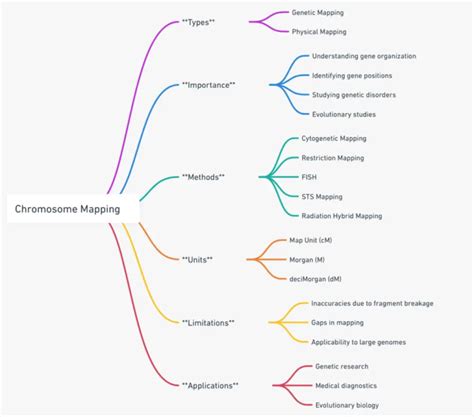 Chromosome Mapping Definition Types Steps Unit Importance Biology Notes Online