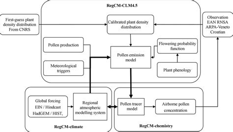 ragweed pollen modelling within online regcm pollen simulation