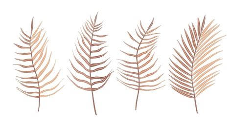 야자수의 열대 잎 세트입니다 이국적인 보헤미안 컬렉션은 식물을 색칠합니다 손으로 그린 식물 벡터 삽화 요소는 흰색 배경에