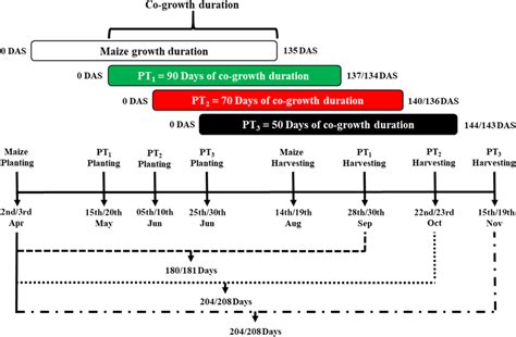 Illustration Of Maizesoybean Relay Intercropping System Overlap And Download Scientific