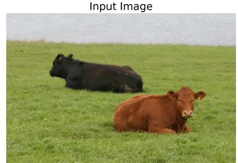 Figure 64 The Optimal Transport For Image Segmentation