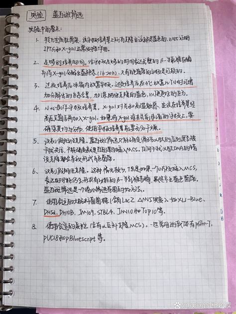 读博日常｜蓝白斑筛选方法📝（极简自留版）