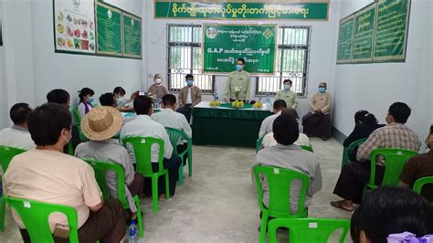 ကန့်ဘလူ၌ သရက်၊နဂါးမောက်သီးနှံ စိုက်ပျိုးသူတောင်သူများအား Gap အသိအမှတ်ပ