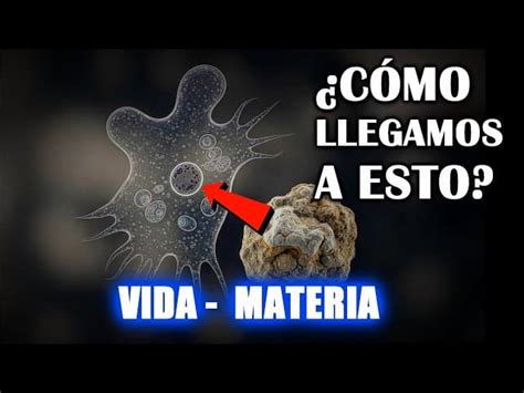 Understanding The Lagging Strand In Dna Replication Galaxy Ai Galaxy Ai