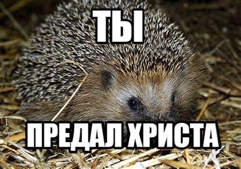 Steam Community Sex With The Devil