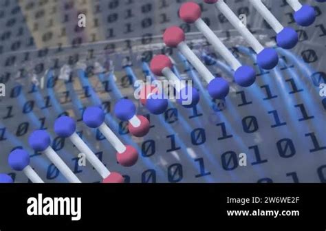 Animation Of Binary Coding And Dna Strand Over Server Global Connections Technology Data