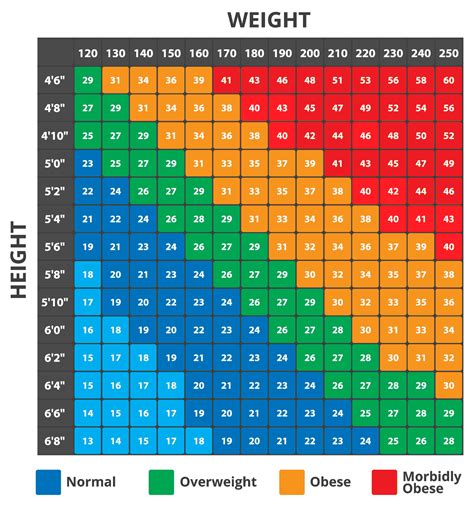 Bmi Chart For Males