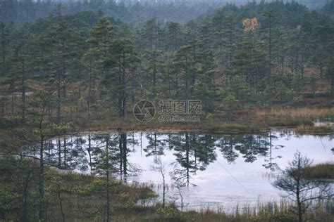 秋末在沼泽湖上高清图片下载 正版图片505702074 摄图网
