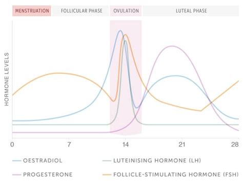 Hormonal Contraception What Are They And How Do They Work