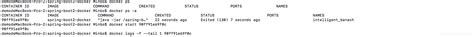 Springboot从入门到精通教程（九） Docker集成容器化部署详解上篇springbootdocker Compare Imagename Csdn博客