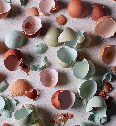 Happy Egg • Why You Should Hold On To Your Egg Shells