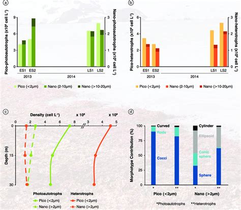 Temporal And Spatial Variations Of Plankton Size Fraction Cell L 1 Download Scientific Diagram