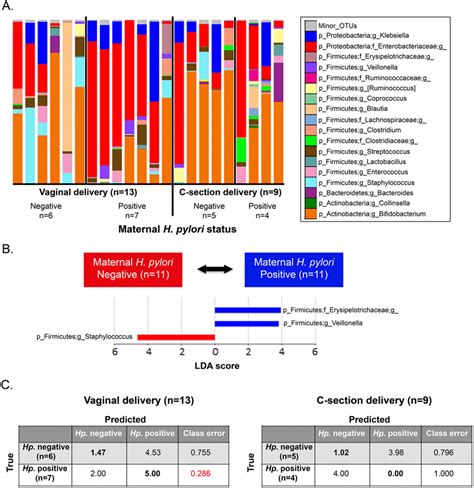 Individual Taxa Plots And Bacterial Taxa Discriminant In Infant Feces
