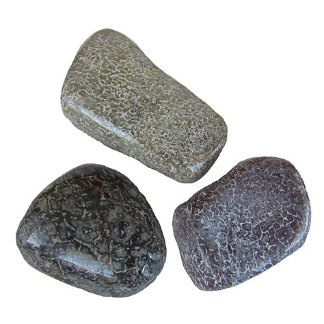 Dinosaur Bone Fossil 1000 The Science Museum Of Minnesota