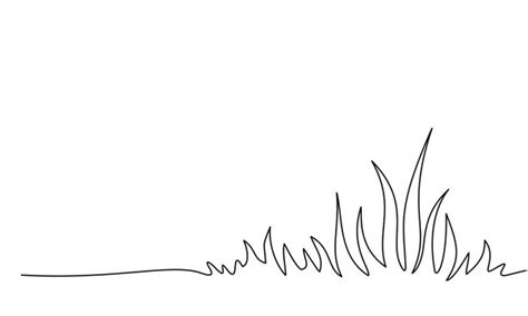 Grass Drawing